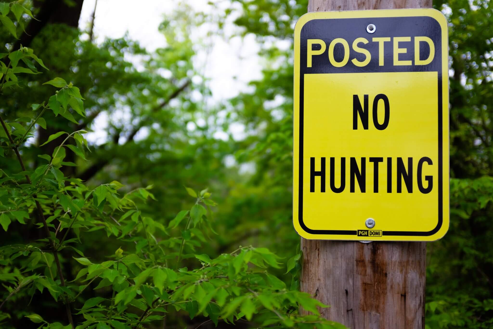what’s wrong with hunting? | peta2