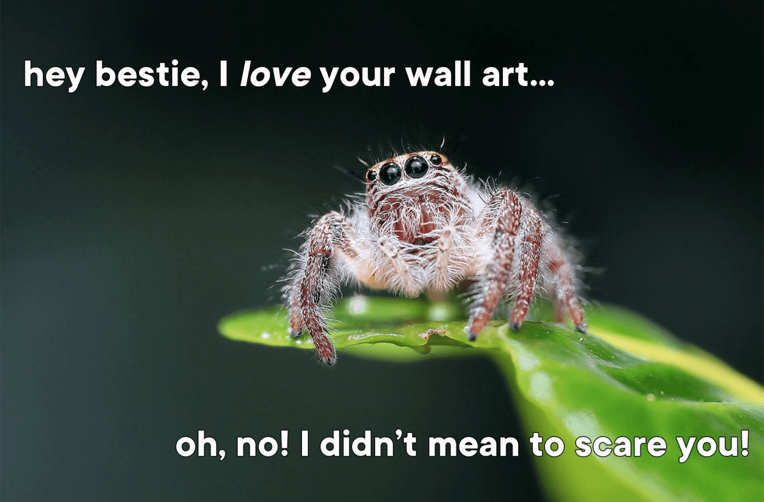 do insects feel pain? | peta2