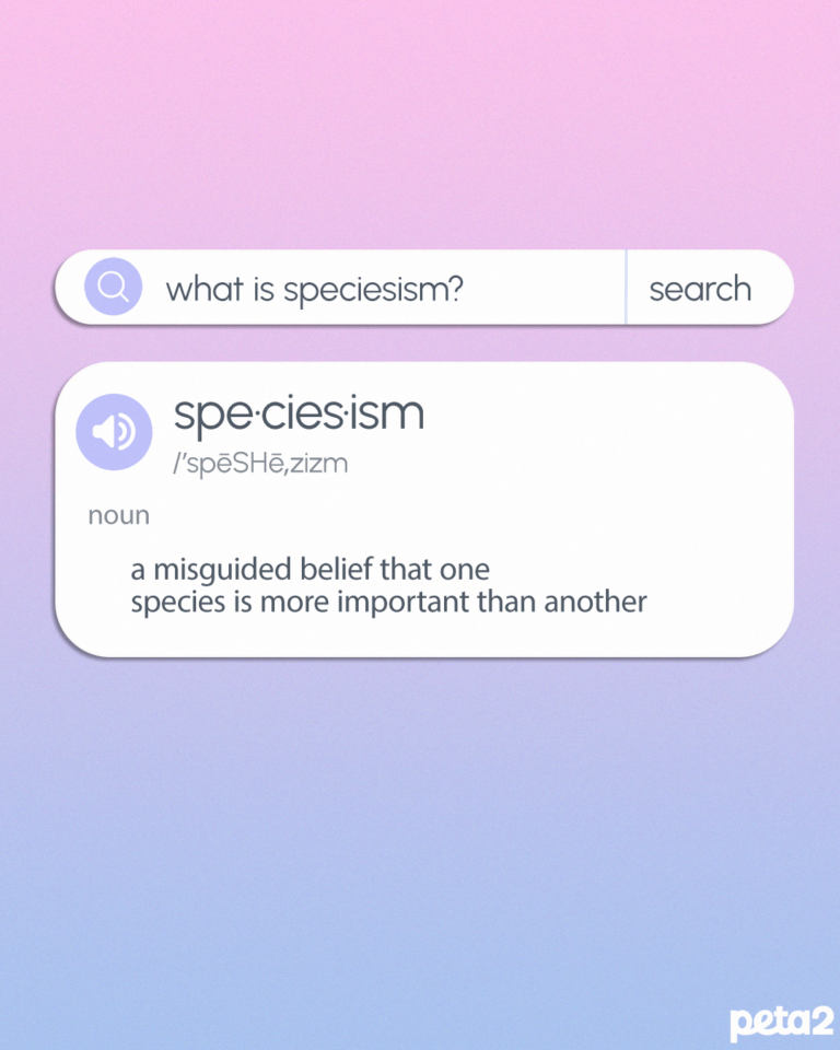 what is speciesism? | peta2