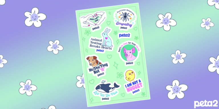 peta2 is helping young people stand up for animals | peta2