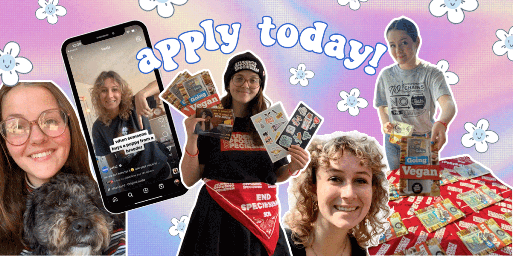 3 ways to get paid to help animals | peta2