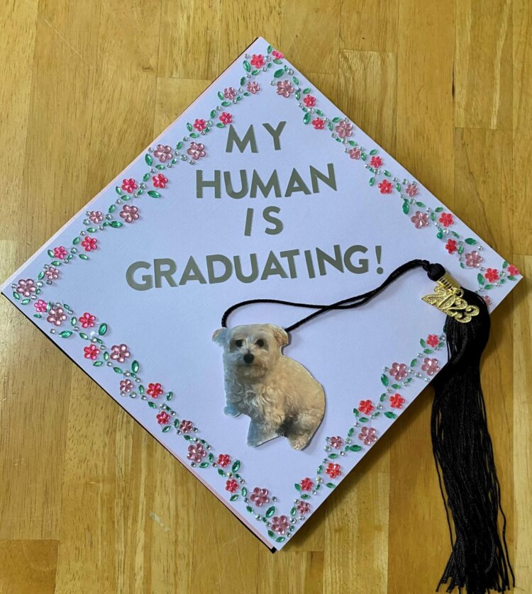 decorate your graduation cap to promote animal rights | peta2