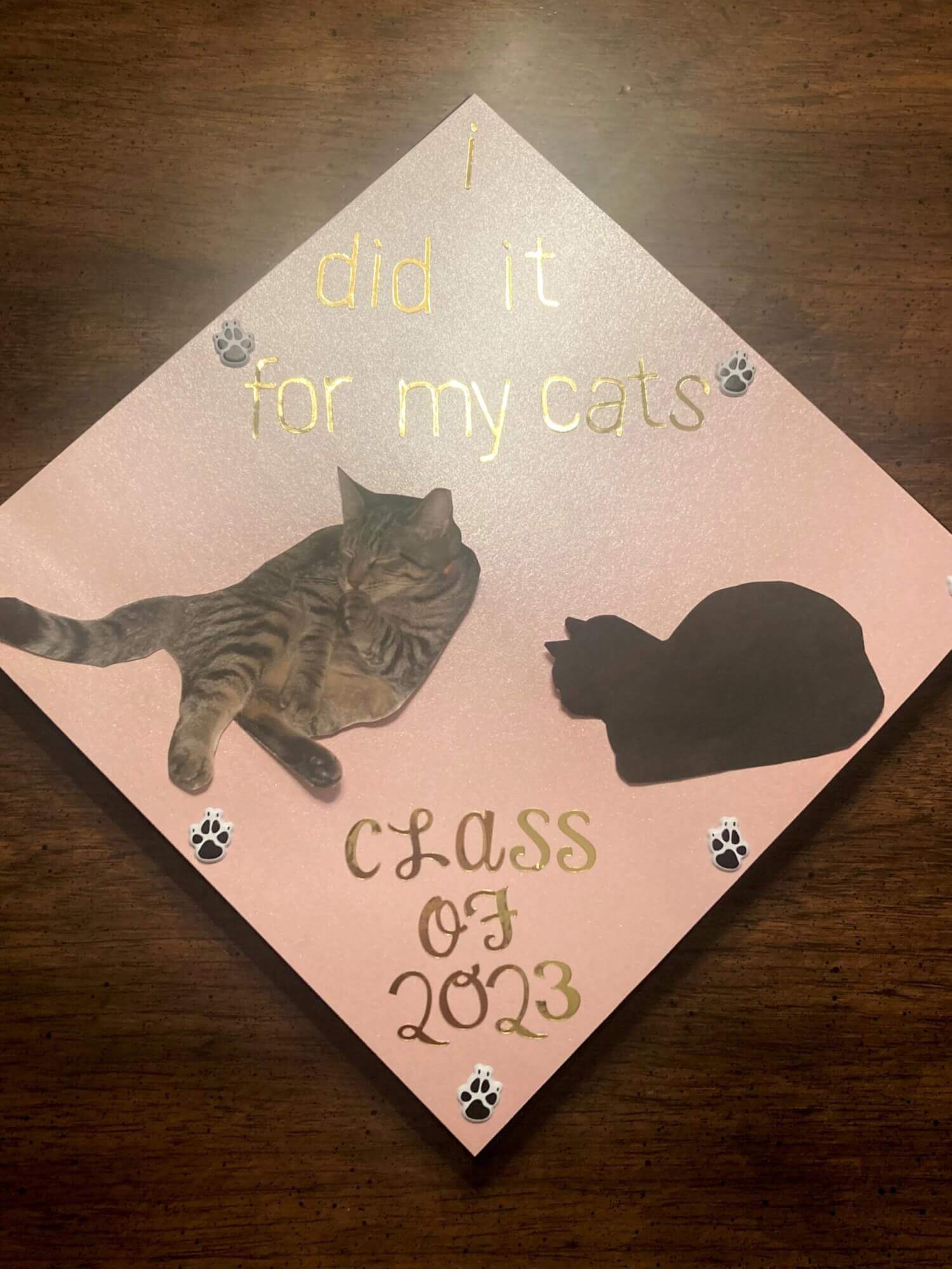 decorate your graduation cap to promote animal rights | peta2