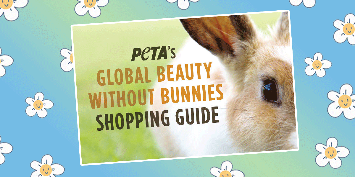 Peta Free Makeup List 2023 Pdf English Version - Infoupdate.org