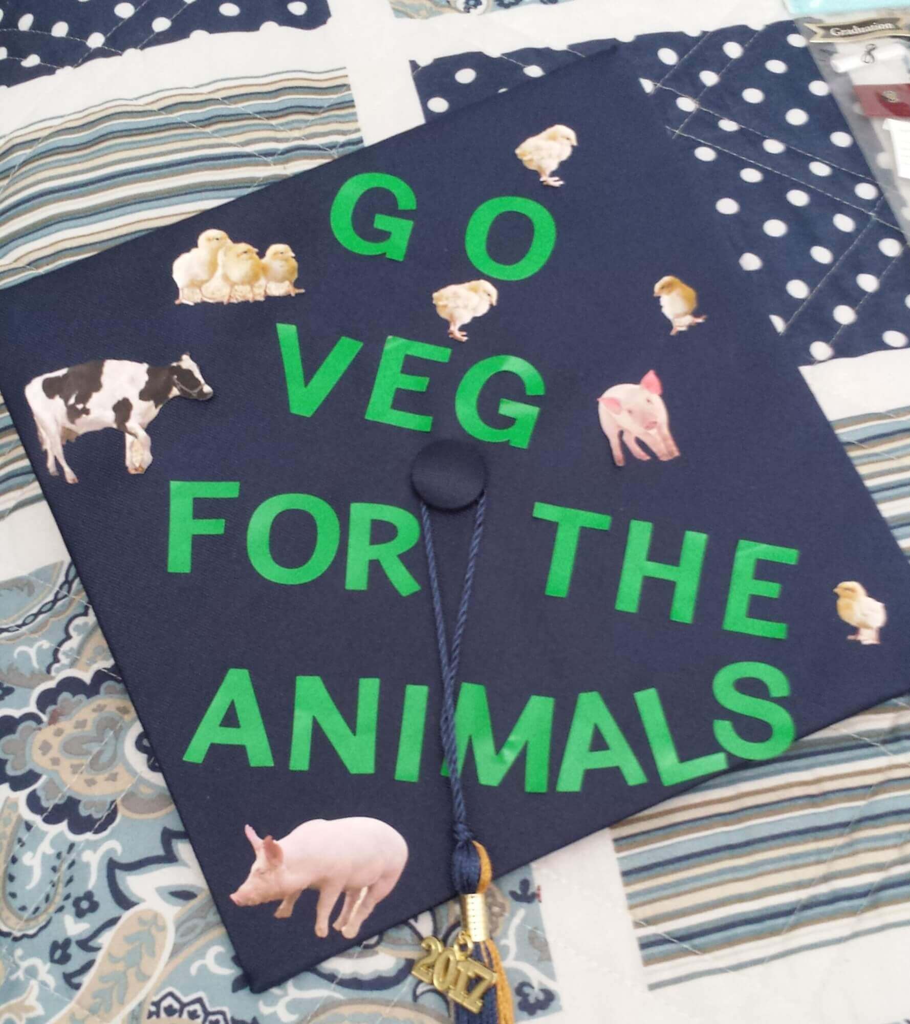 decorate your graduation cap to promote animal rights | peta2