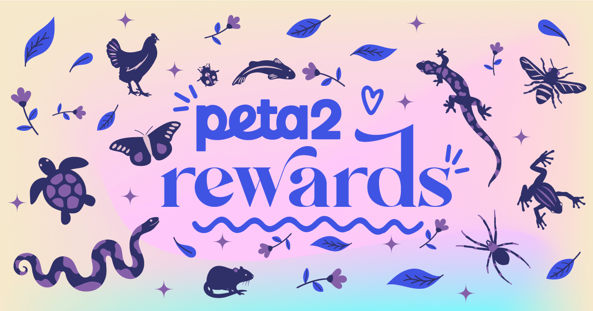peta2 rewards program | peta2