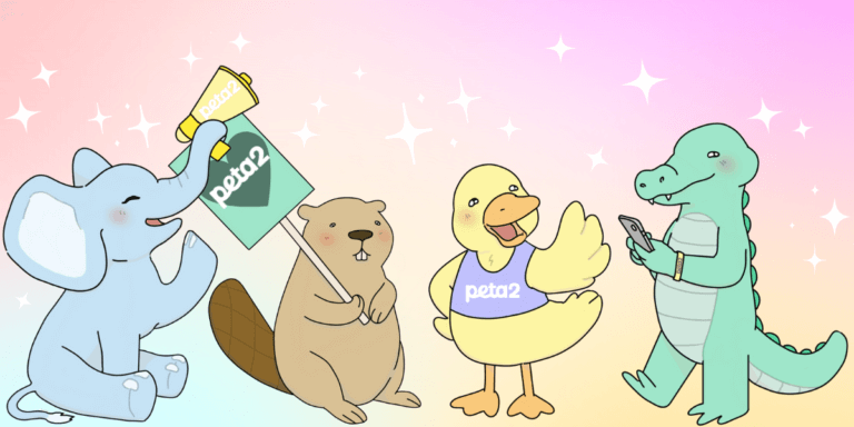ways young people can help animals! | peta2