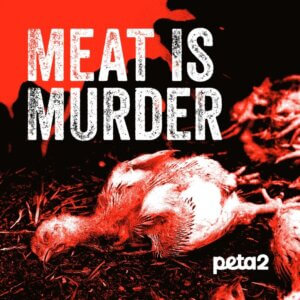 remind your friends that “meat is murder” with free stickers! | peta2