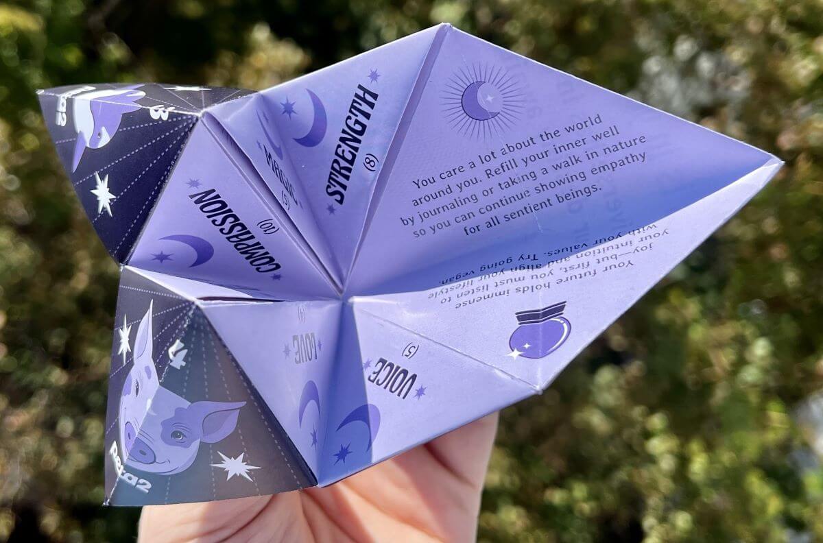 mission: fold and use this fortune teller | peta2
