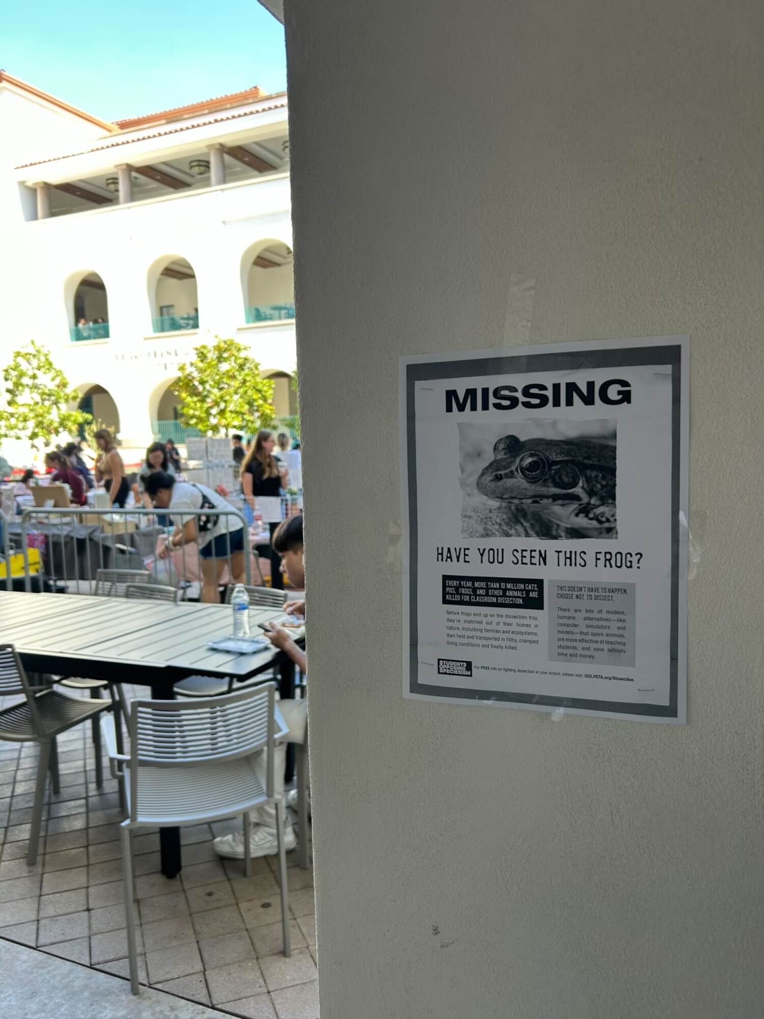mission: hang ‘missing’ posters against animal dissection | peta2