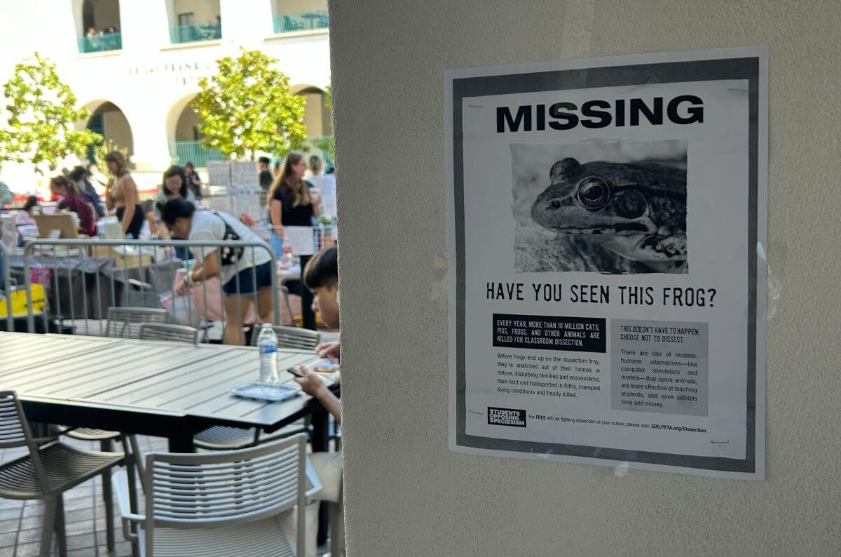 mission: hang ‘missing’ posters against animal dissection | peta2