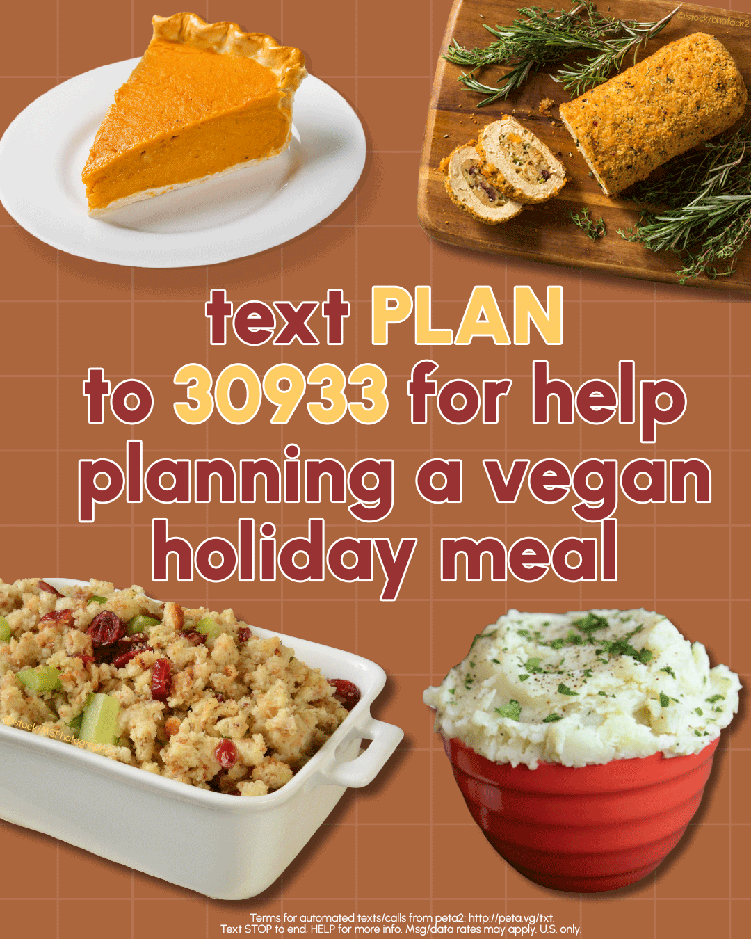 mission: let peta2 plan your vegan holiday meal | peta2