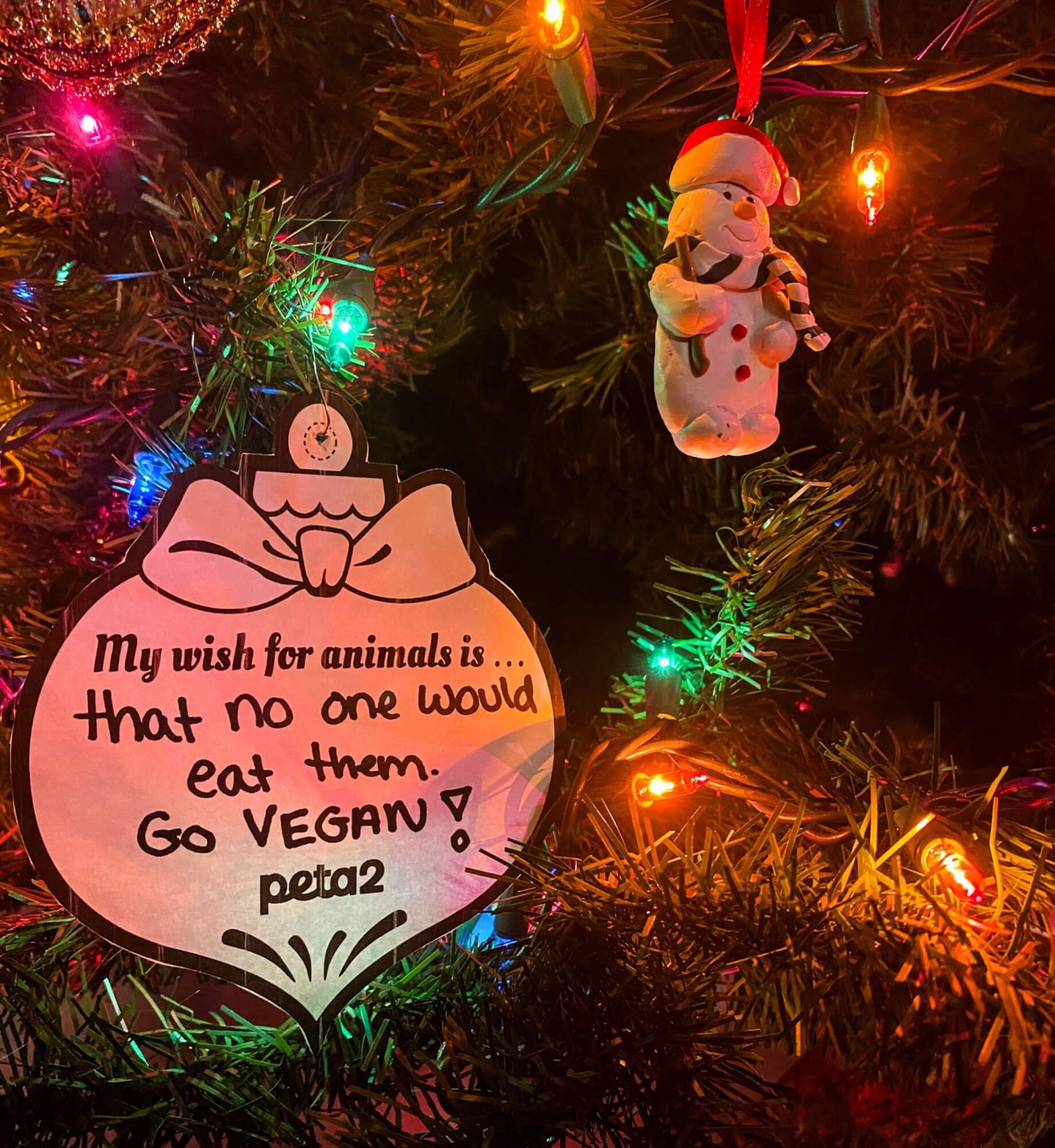 mission: make new year’s wishes for animals | peta2