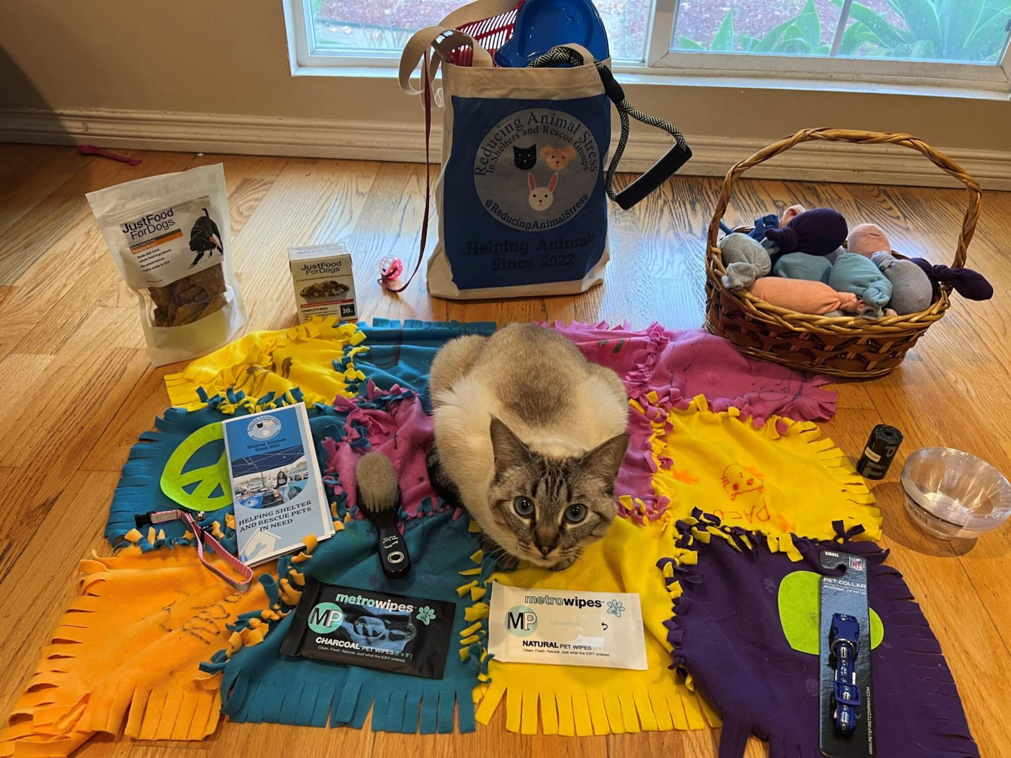 ariela robinson is speaking up for animals in shelters | peta2