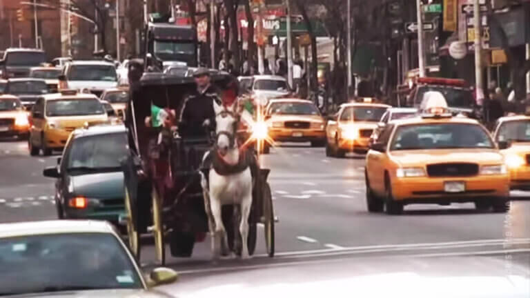 what’s wrong with horse-drawn carriages? | peta2