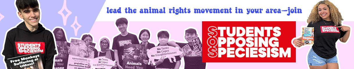 get the latest ways to help animals | peta2