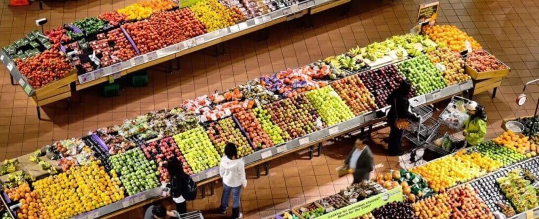 learn about animal rights issues | peta2