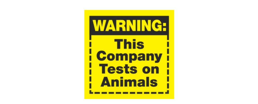 ways young people can help animals! | peta2