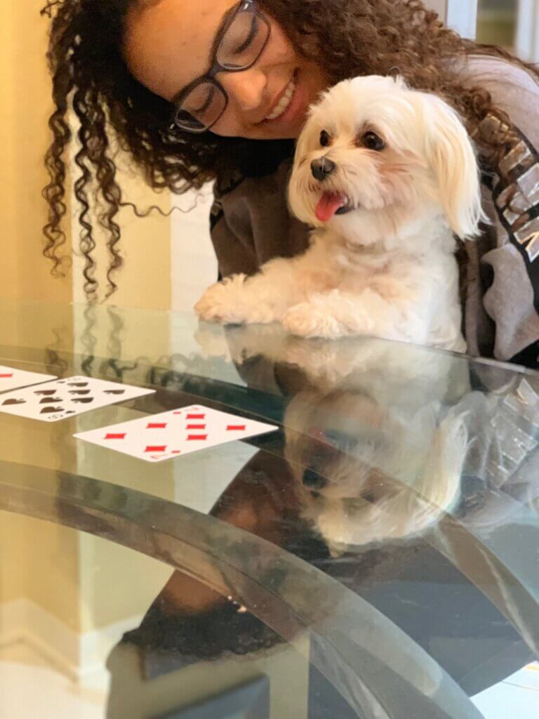 why your dog should be your valentine | peta2
