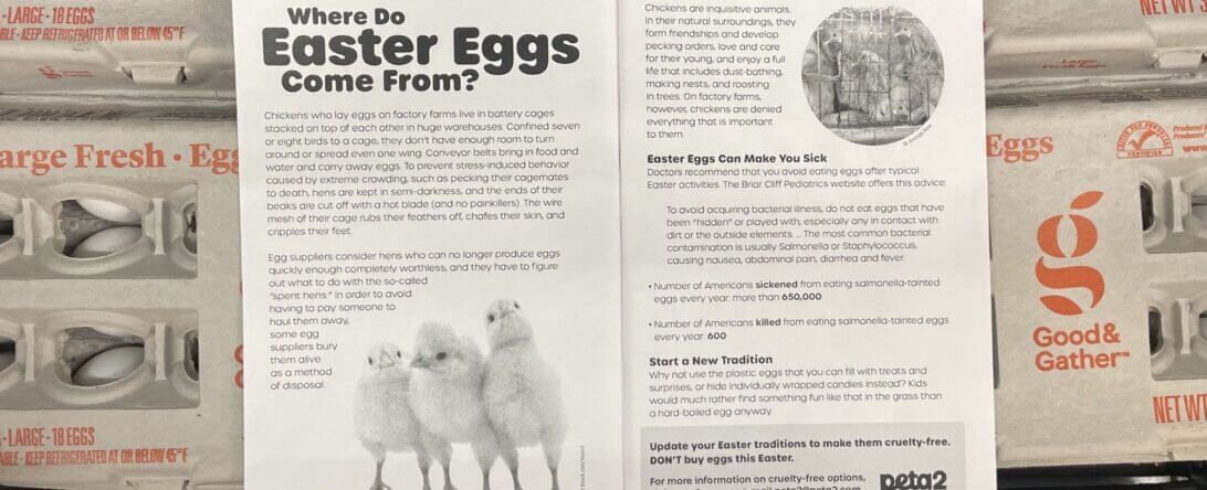 ways young people can help animals! | peta2