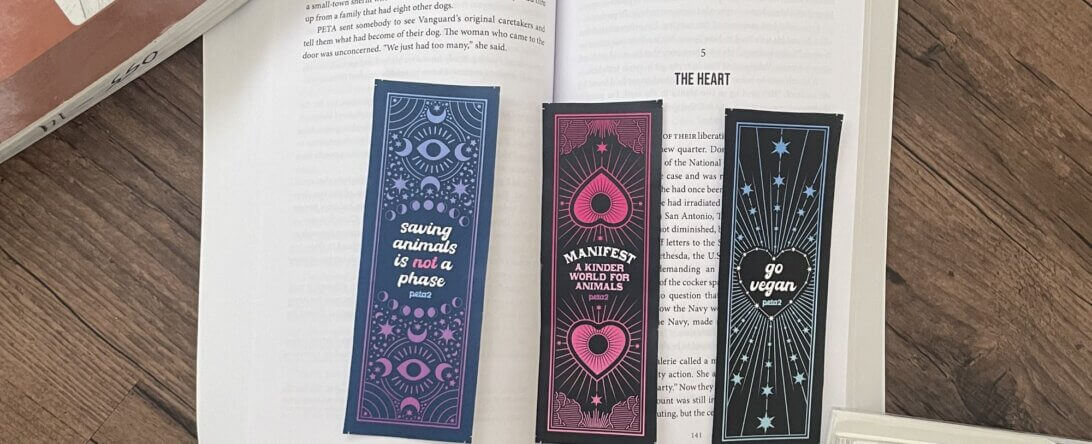 ways young people can help animals! | peta2