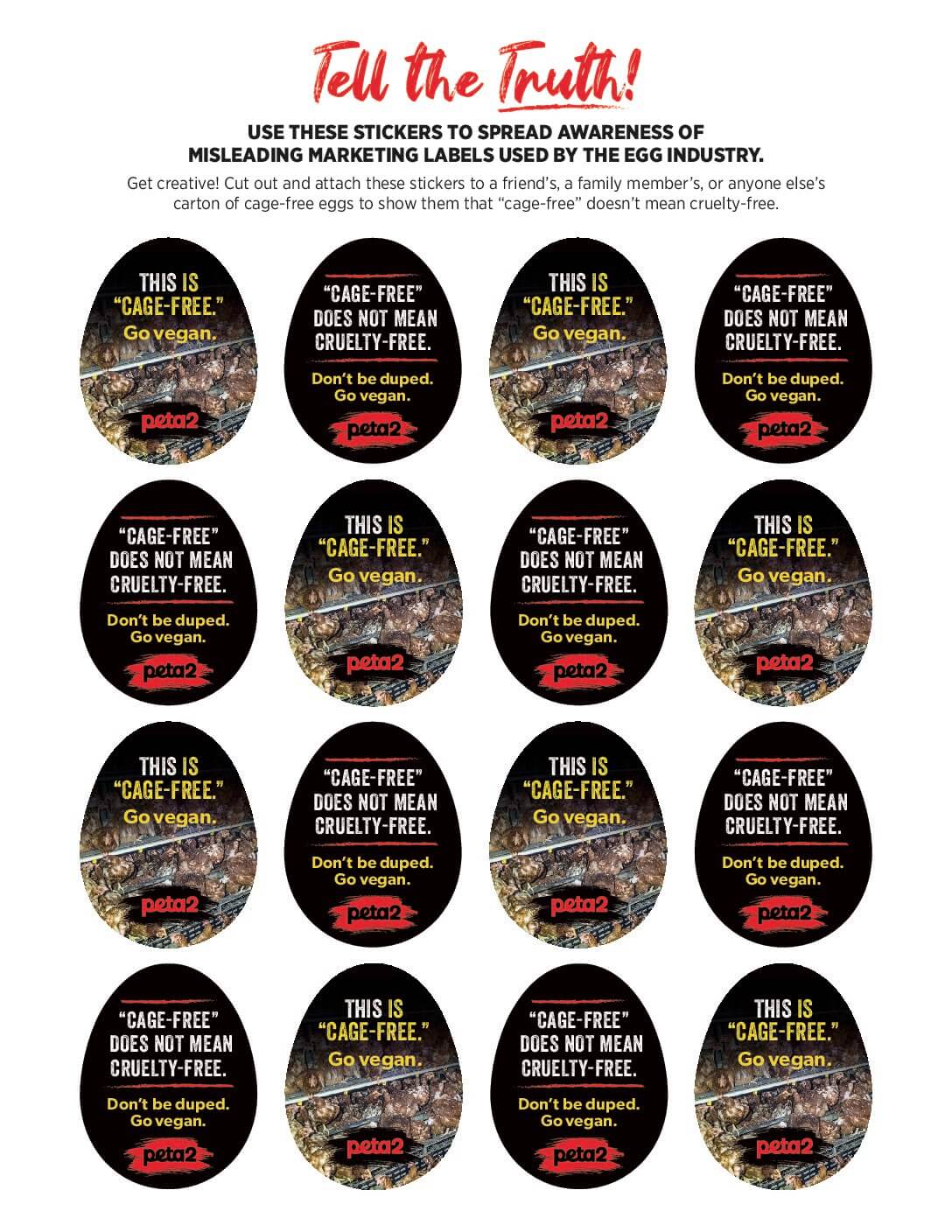 mission: show people the cage-free egg truth | peta2