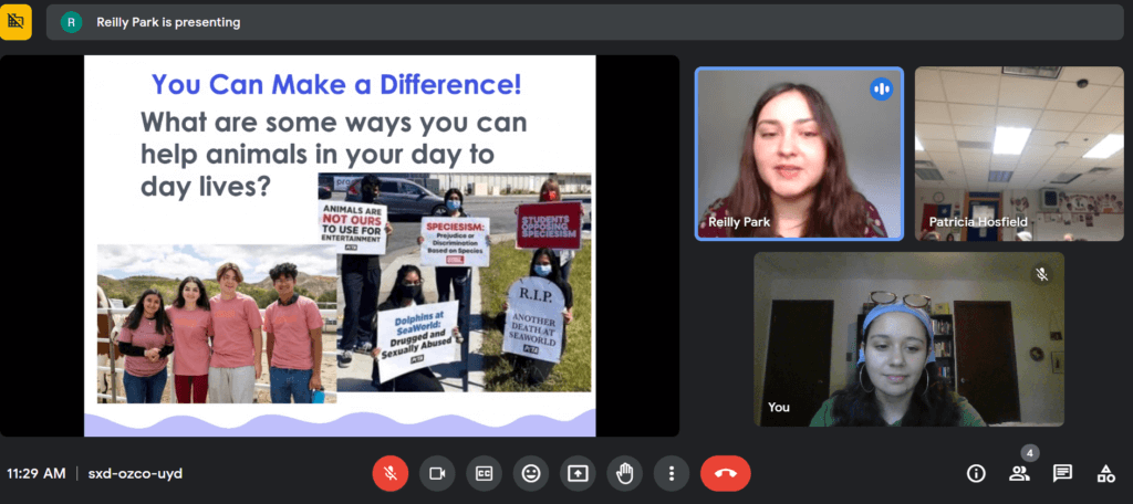 host a peta2 virtual presentation | peta2