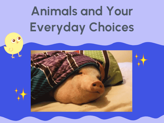 host a peta2 virtual presentation | peta2
