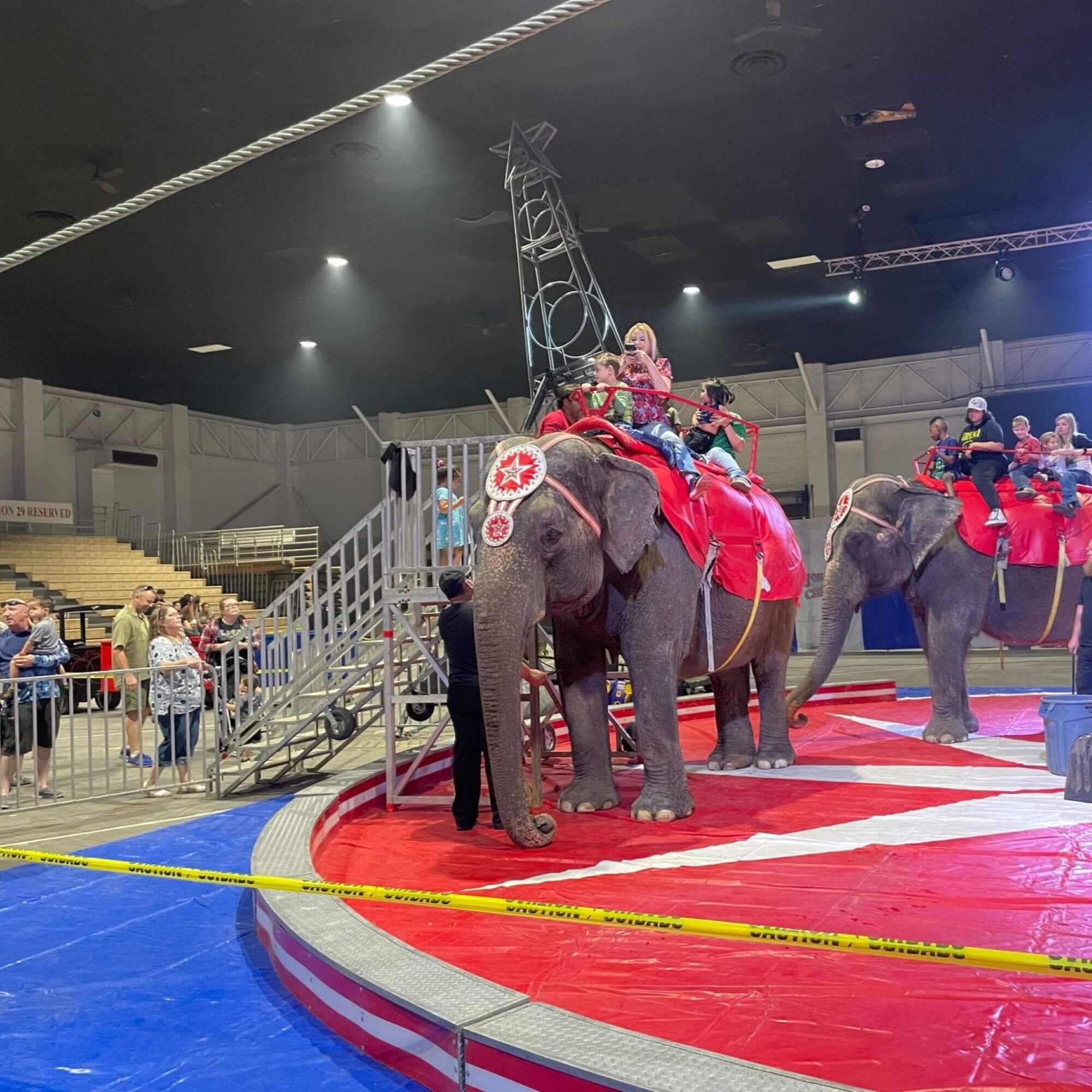 mission: urge carson & barnes circus to end animal acts! | peta2