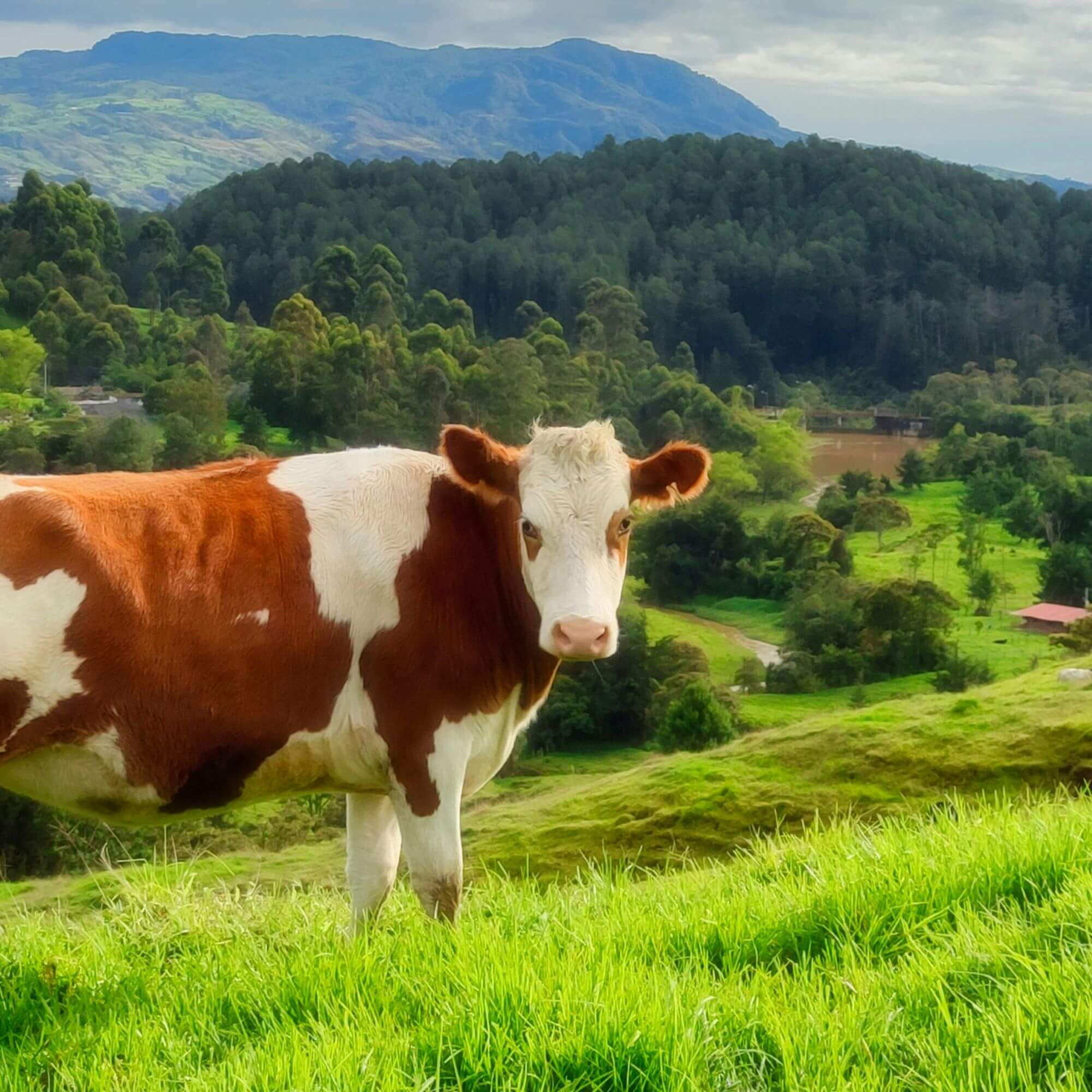 highlights from peta2’s year of hitting music festivals | peta2