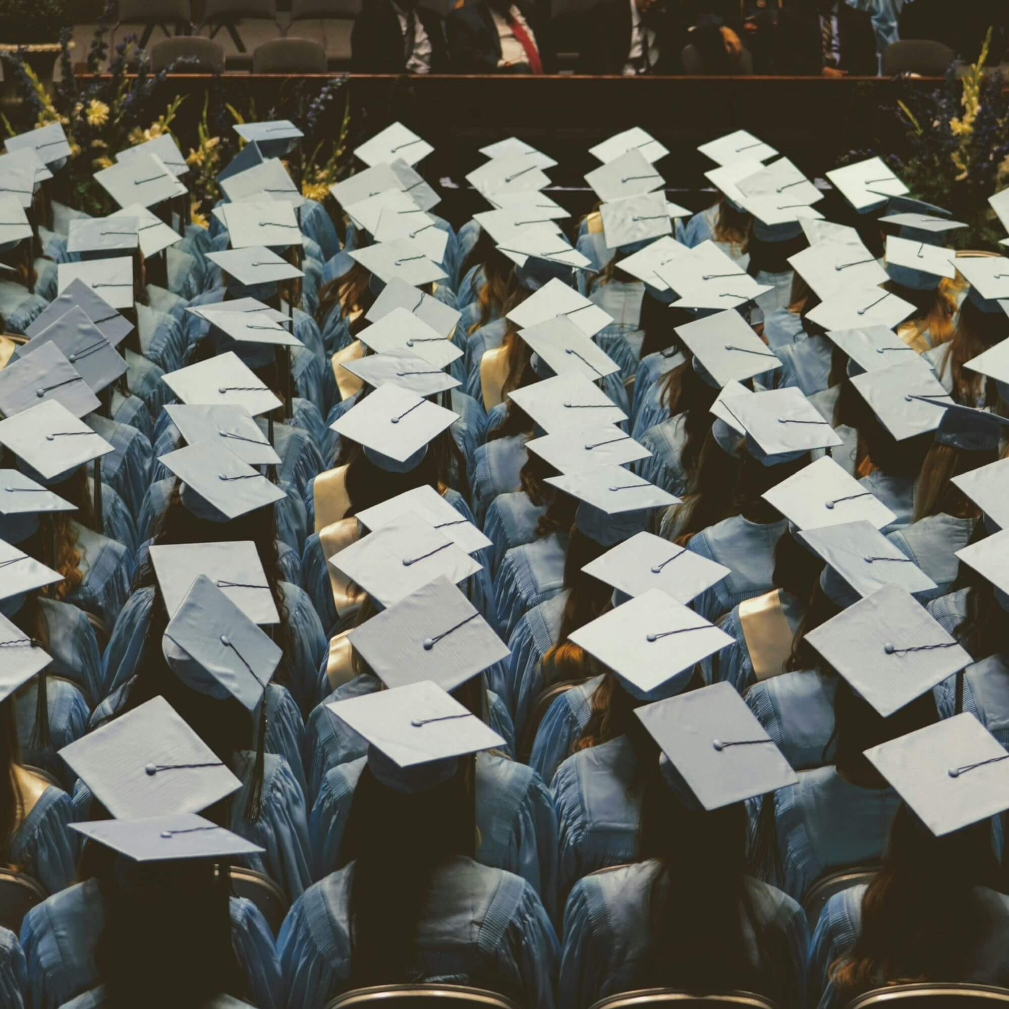 decorate your graduation cap to promote animal rights | peta2