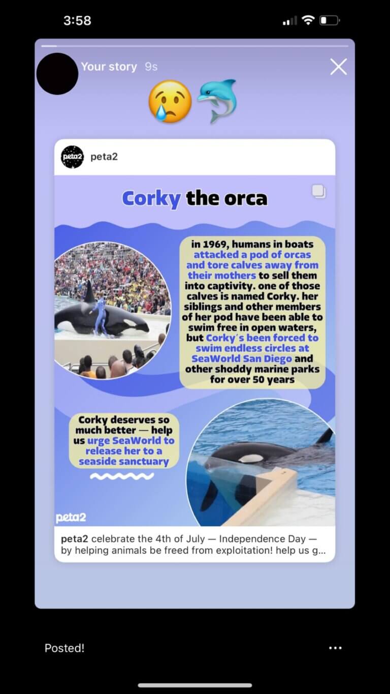 mission: help get these animals freedom | peta2