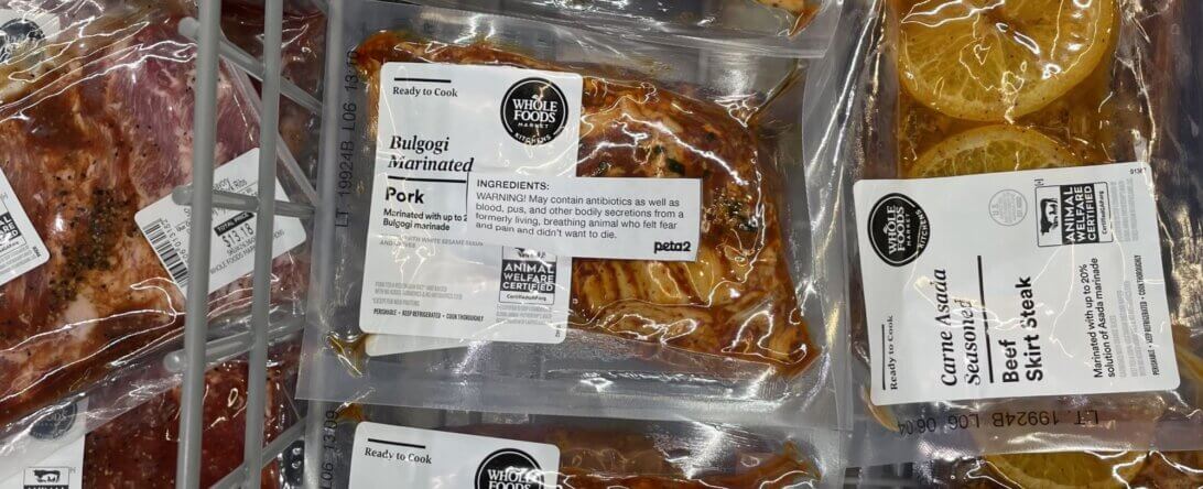 ways young people can help animals! | peta2