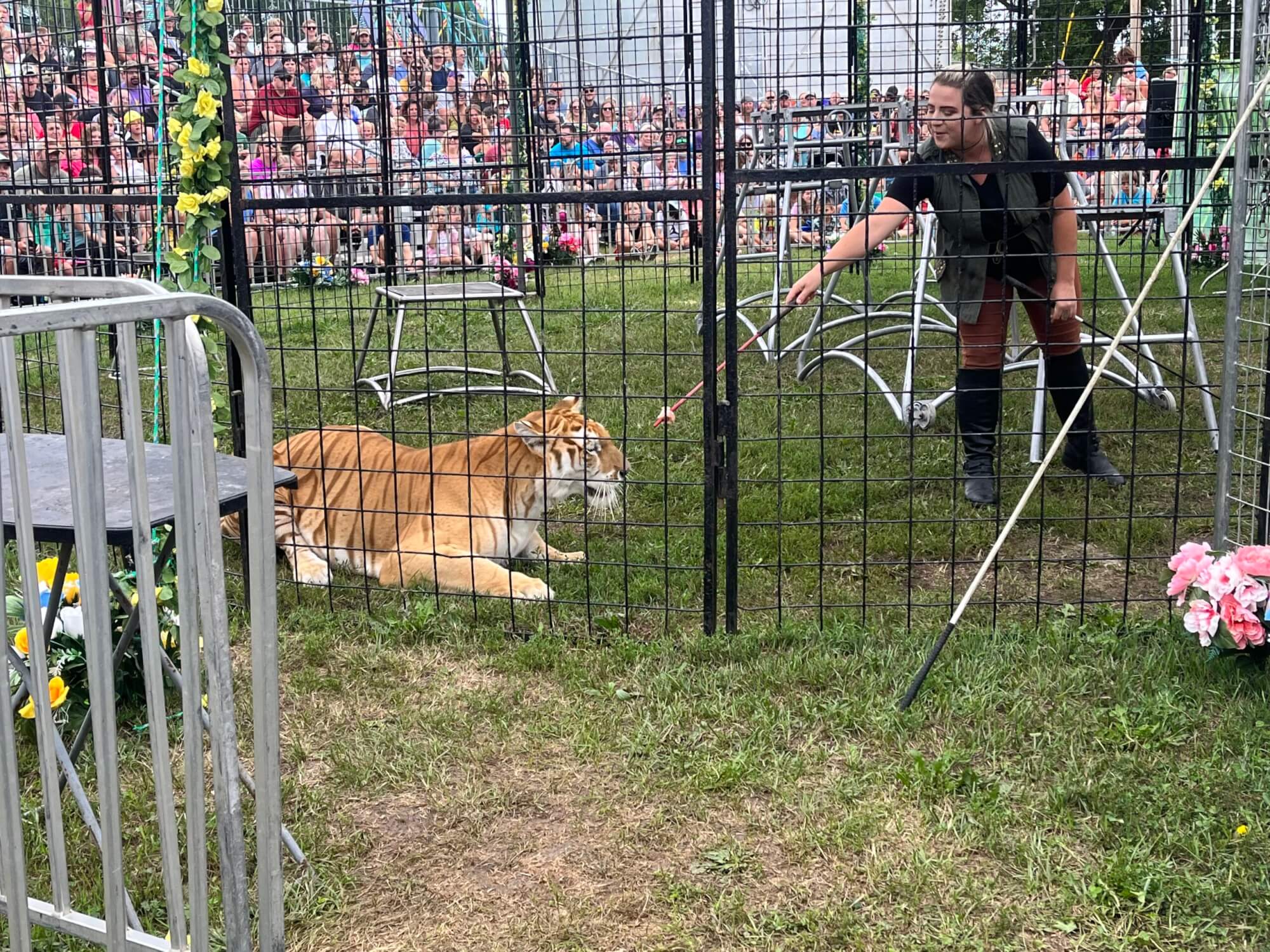 animal attractions at fairs | peta2