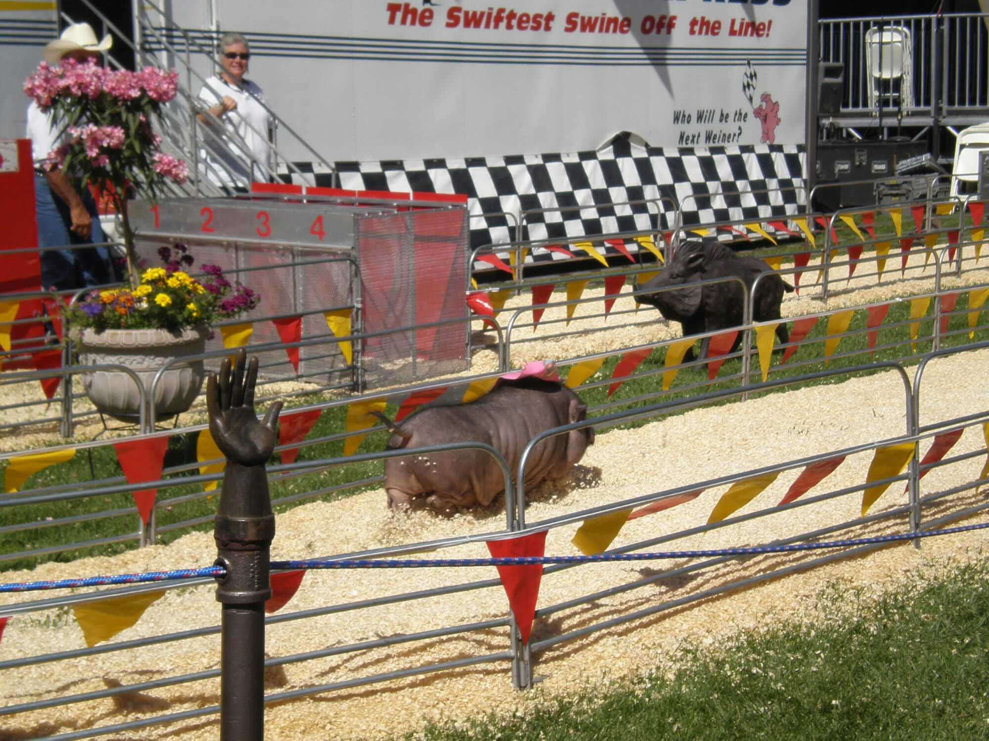 animal attractions at fairs | peta2