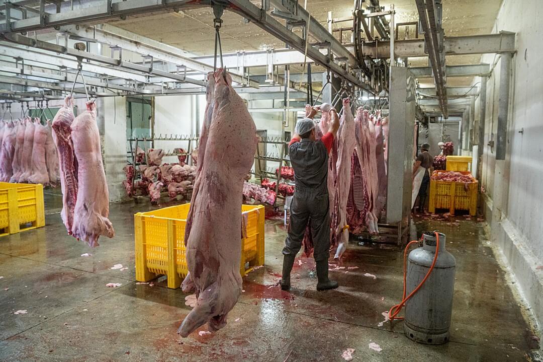 slaughterhouse workers suffer, too | peta2