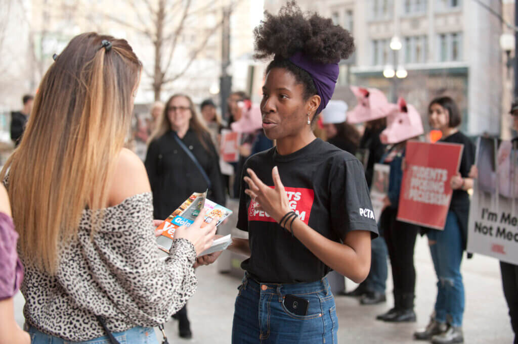 youth advisory board | peta2