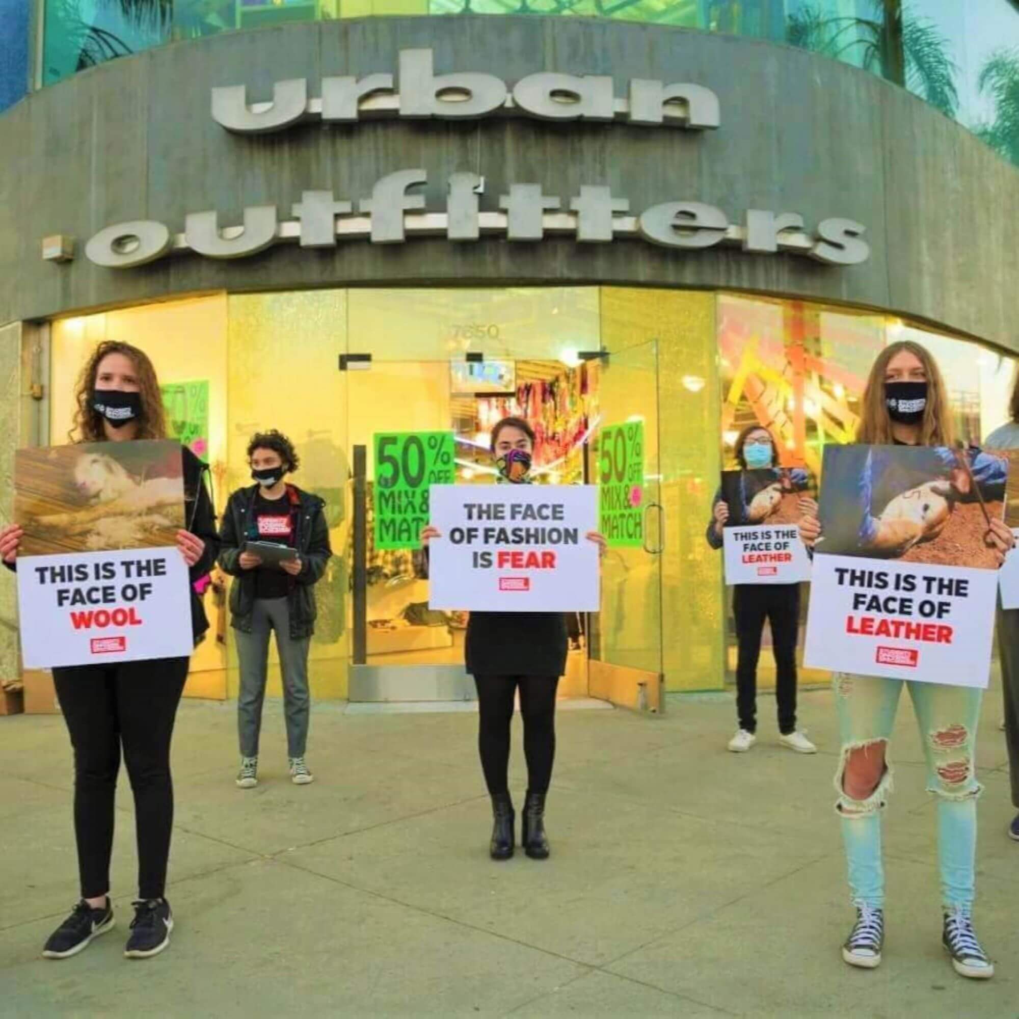 training videos | peta2