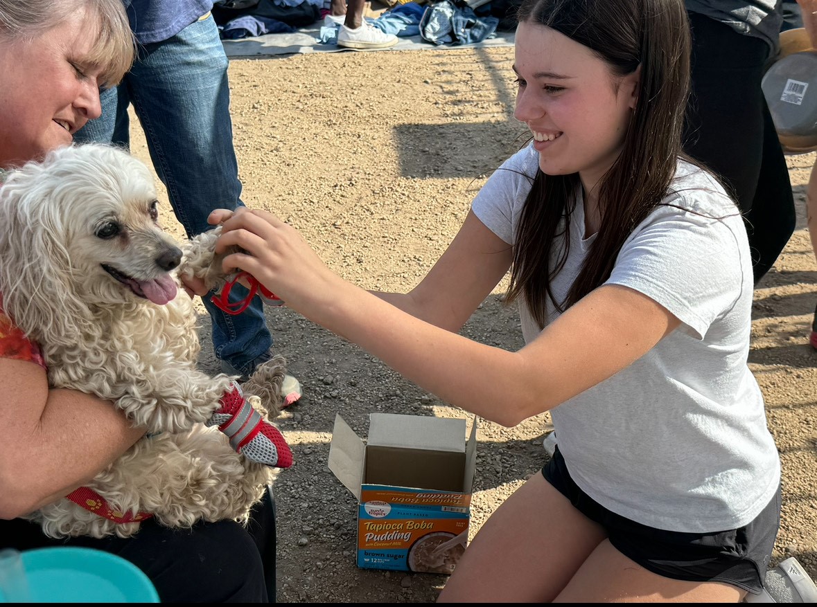 laws for paws: a teen's dog-friendly nonprofit | peta2