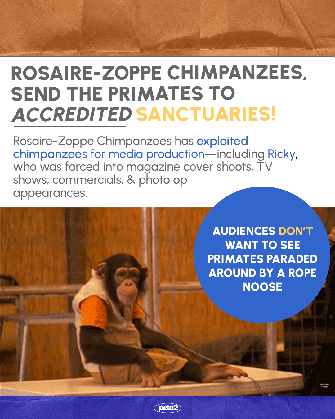 mission: urge the rosaire-zoppe fam to do what's right | peta2
