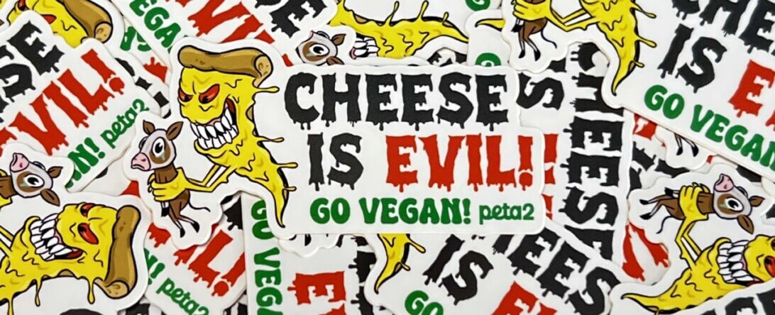 cruelty-free & vegan lifestyle at home and school | peta2