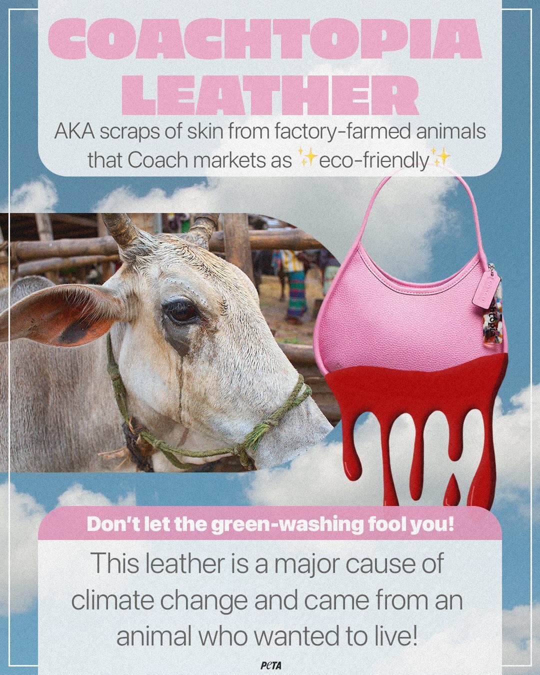 tell coachtopia that leather is never sustainable | peta2