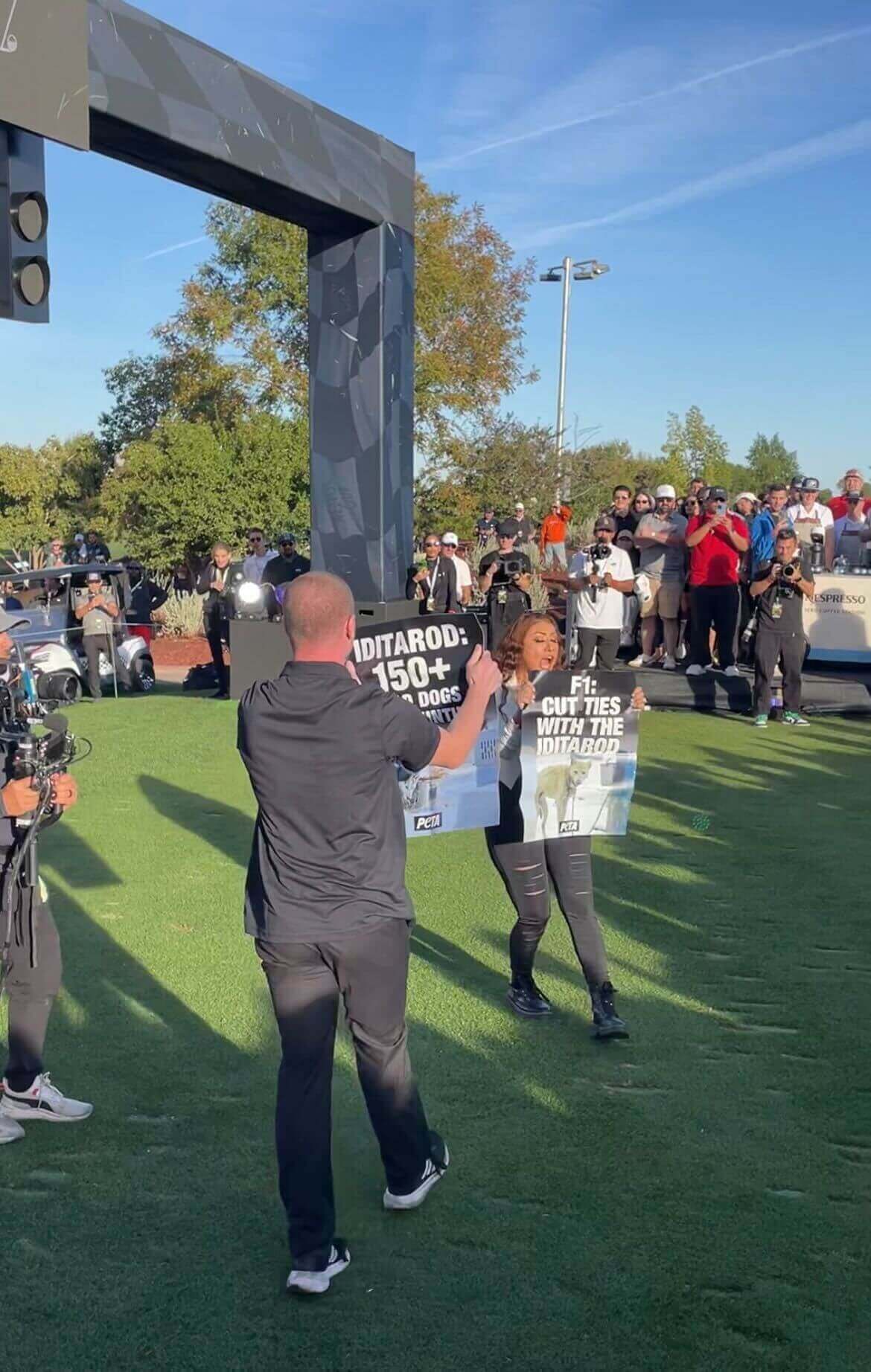 introvert and extrovert advocacy tips | peta2