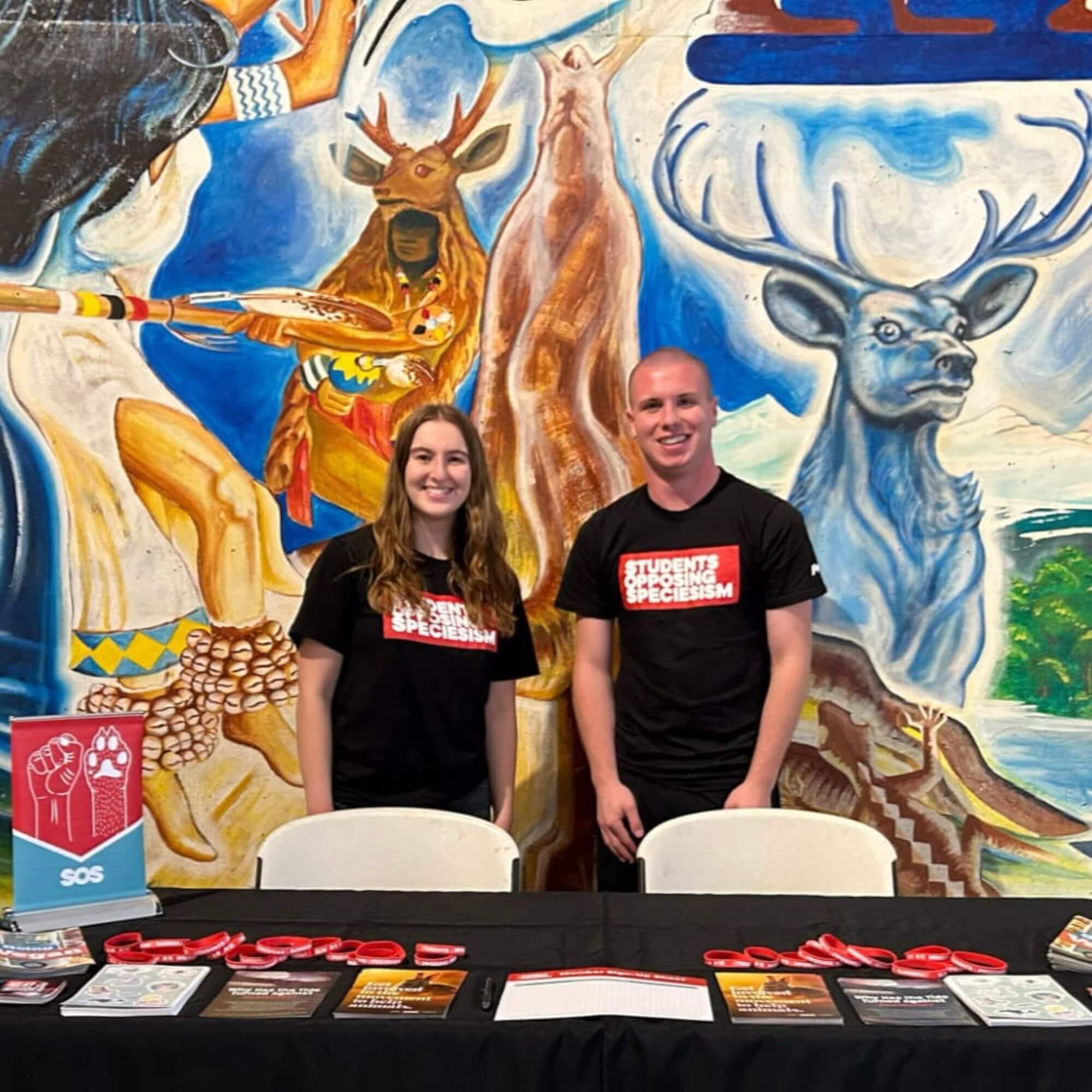 advocacy tips for introverts and extroverts | peta2