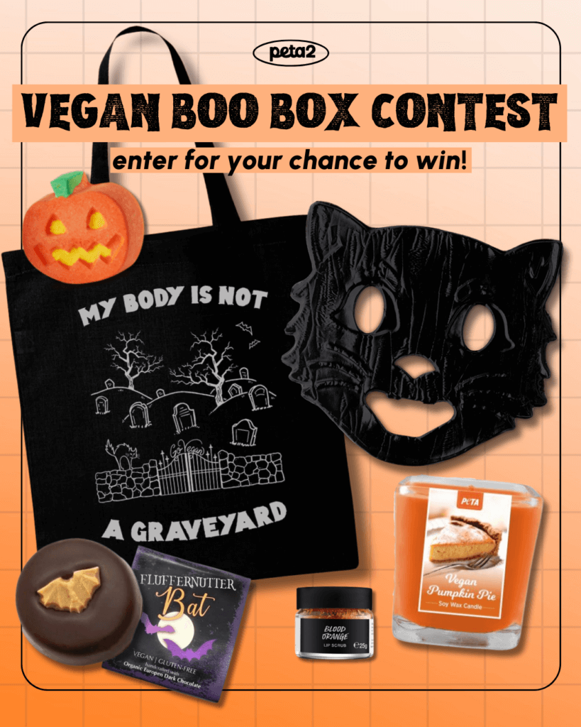 vegan boo box contest 👻 | peta2