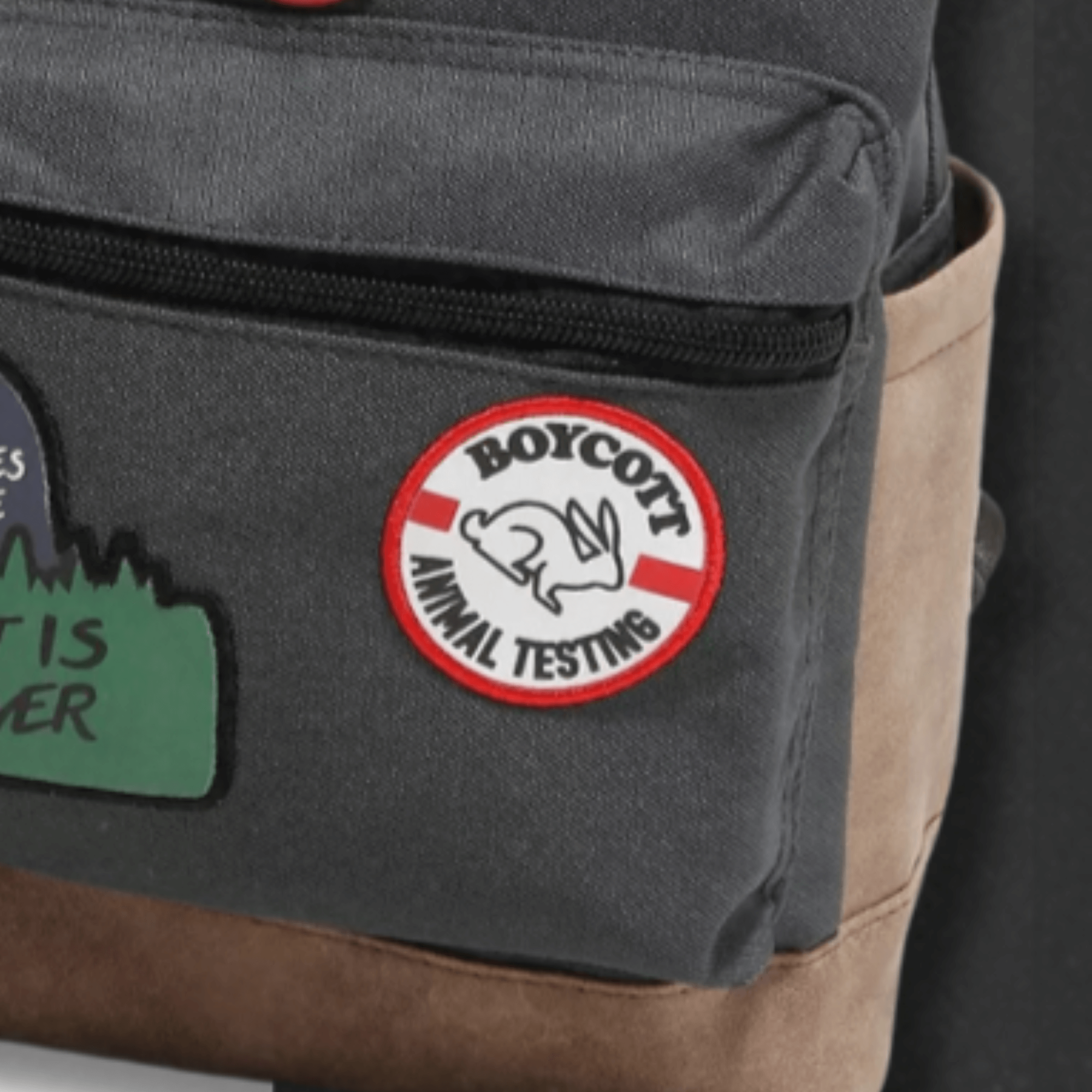 ‘boycott animal testing’ contest 🐇 enter for your chance to win | peta2