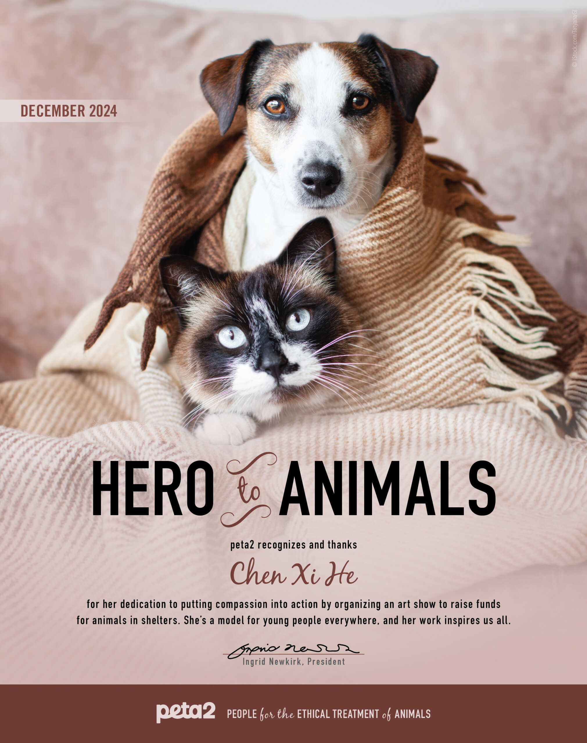 art show for animal shelters | peta2