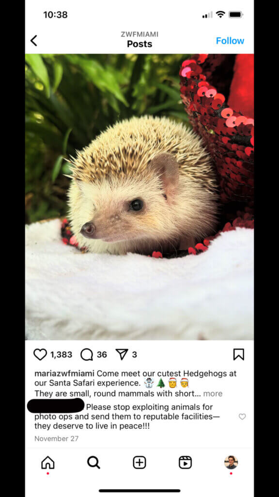 mission: help animals at zoological wildlife foundation | peta2