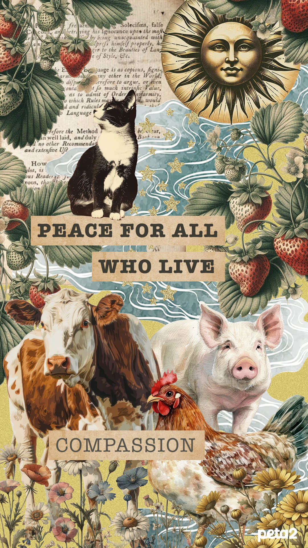 mission: use a peta2 aesthetic wallpaper | peta2