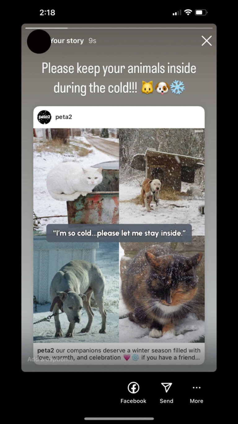 mission: save lives—bring cold animals indoors | peta2
